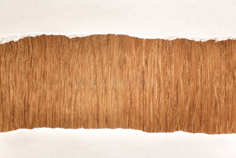 Ragged pieces of paper stock photo. Image of scrap, material - 59185972