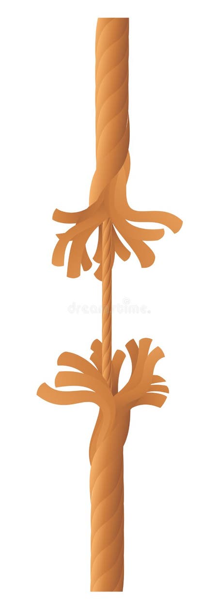 Ragged rope stock vector. Illustration of painting, cordage - 9795768