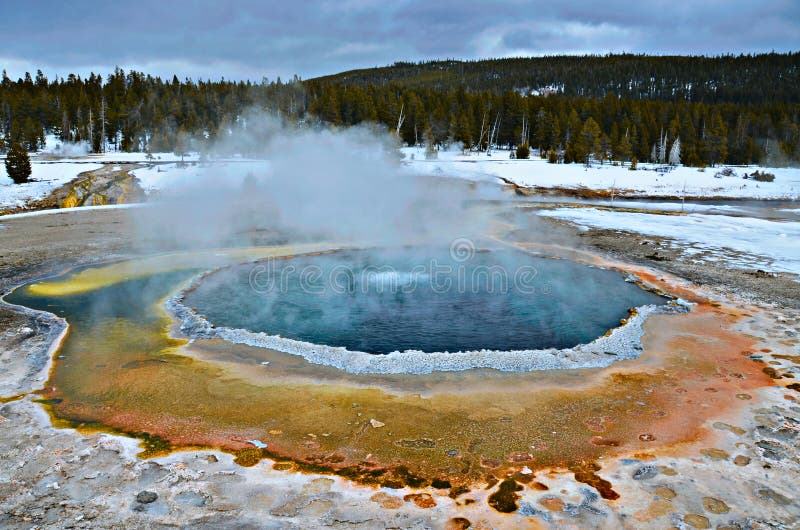 Geyser Crestato Dello Stagno, Parco Nazionale Di Yellowstone - Geyser ...