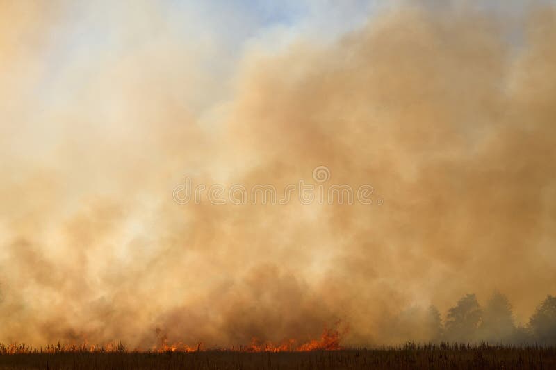 Raging Dust Smoke of Fire Burn in Grass Fields Smoke To Sky Big ...