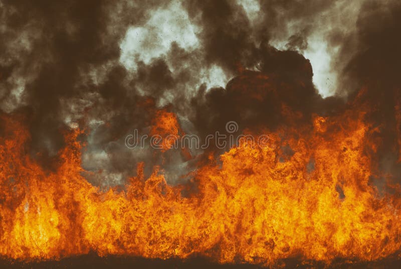 The Raging Flame of Fire Burn in the Fields, Forests and Black Thick ...