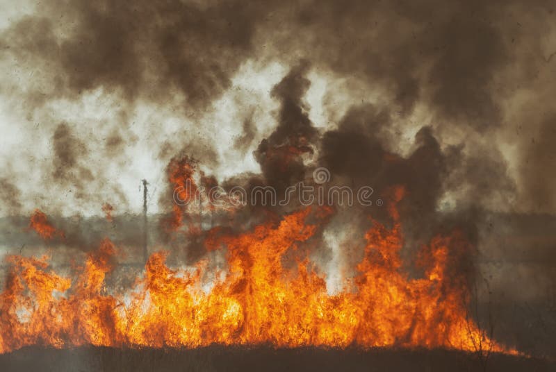 Fire and acrid smoke stock photo. Image of fire, home - 23707842