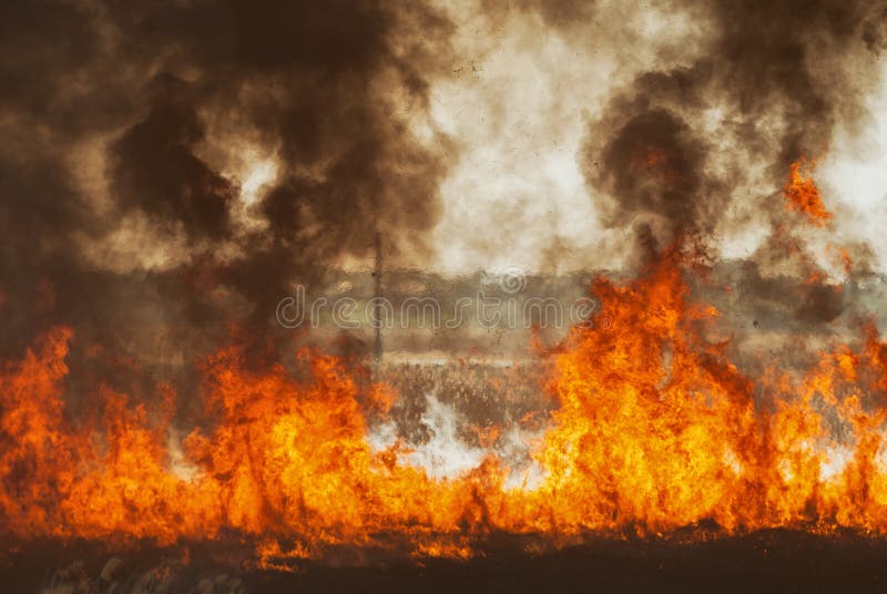 The Raging Flame of Fire Burn in the Fields, Forests and Black Thick ...