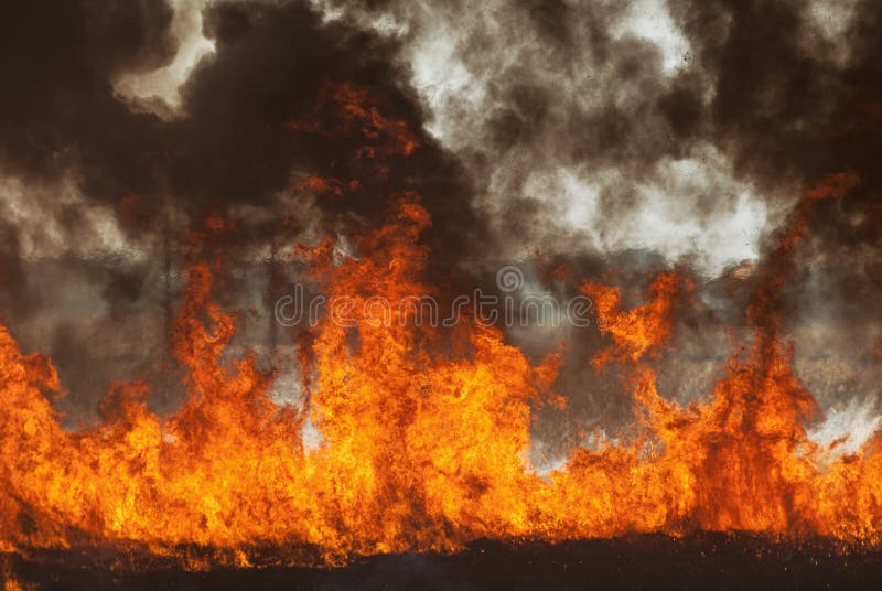 The Raging Flame of Fire Burn in the Fields, Forests and Black Thick ...