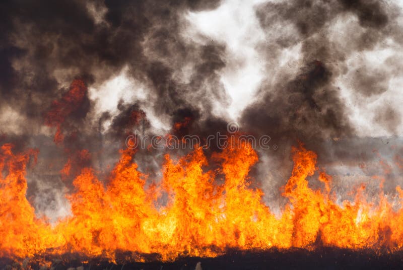 The Raging Flame of Fire Burn in the Fields, Forests and Black Thick ...