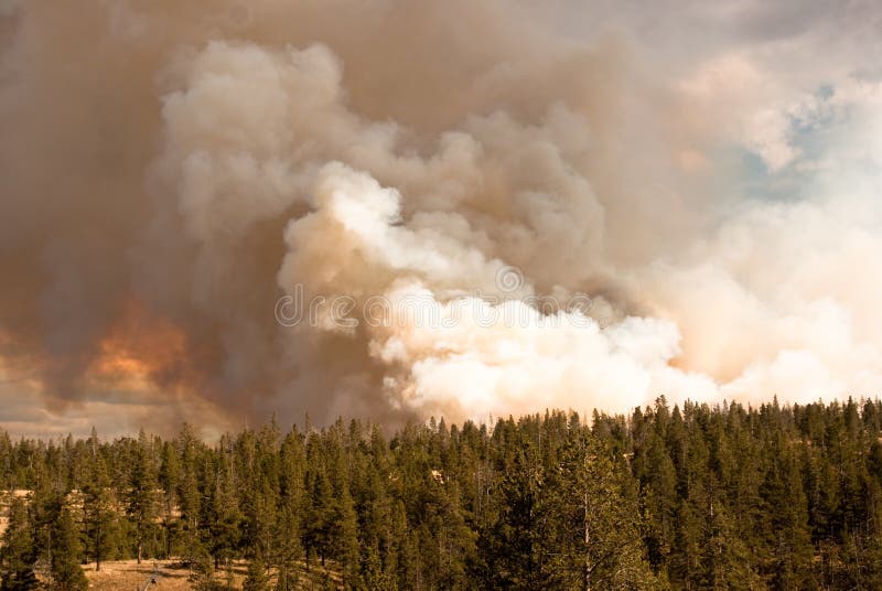 Raging forest fire stock image. Image of billow, smoke - 17330601