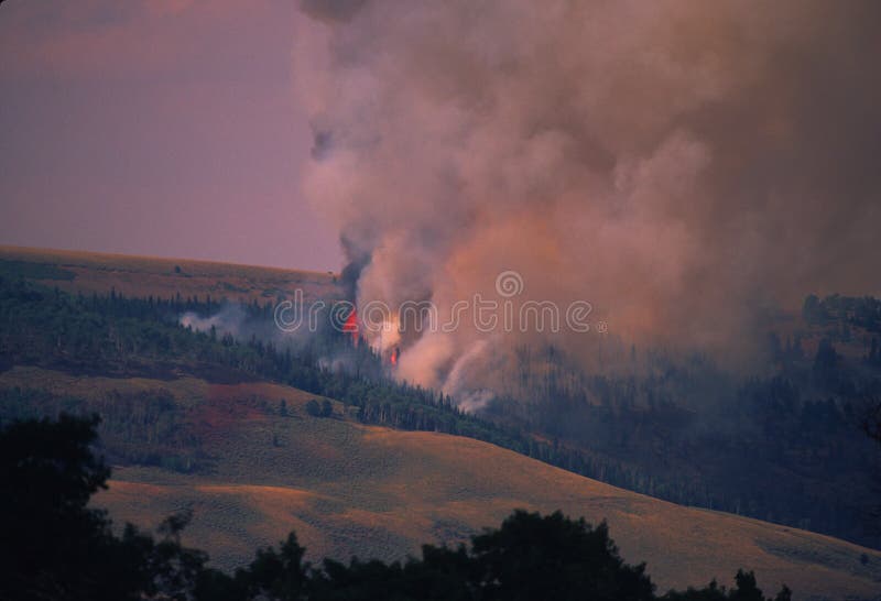 Raging Forest Fire stock photo. Image of fire, wildfire - 8707486