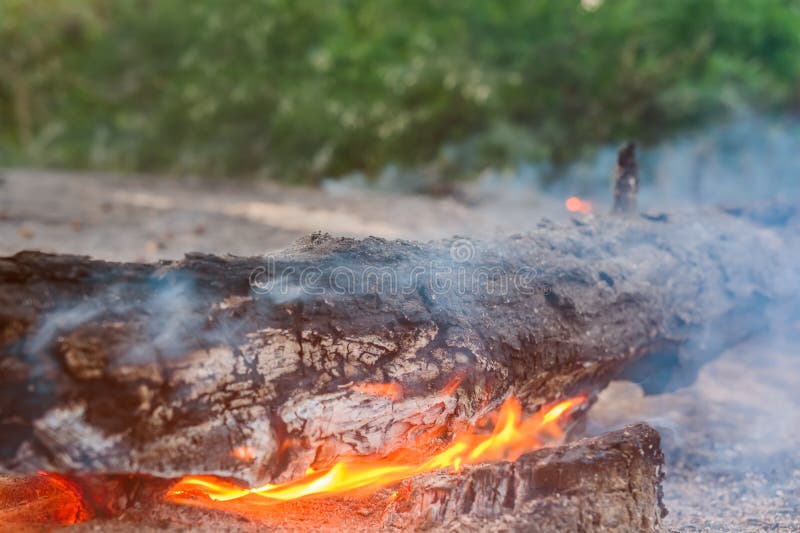Raging Pine Tree Fire Across the Hill. Stock Image - Image of problem ...