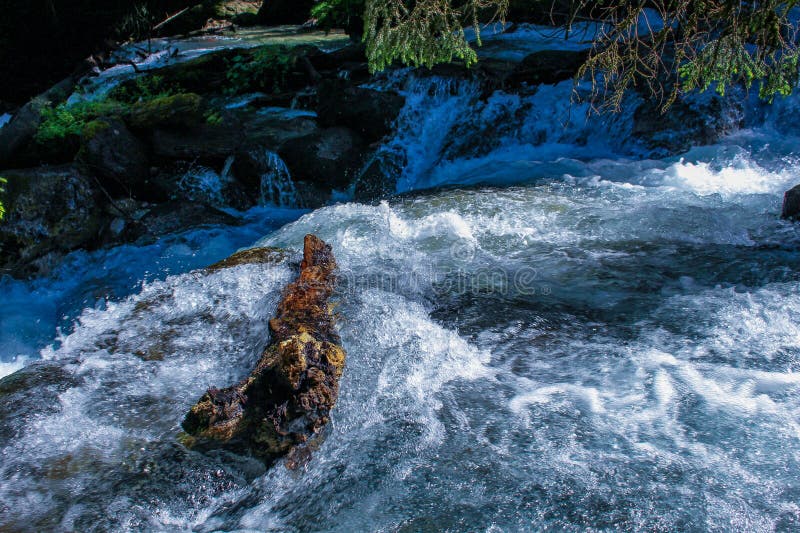 Raging River. Fast Stream in Mountain. Forest River Mountain Stock ...