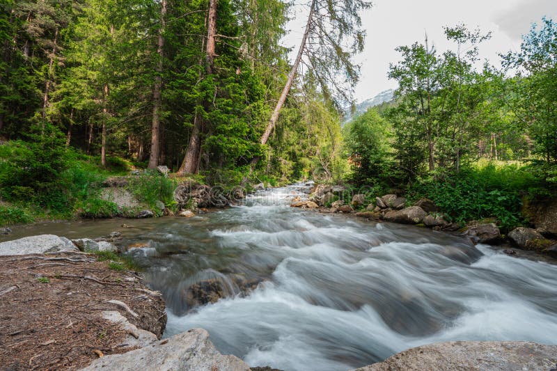 Raging River Stream Flowing in a Nature Landscape Stock Image - Image ...