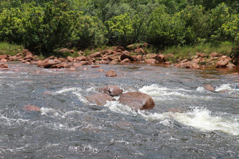 Raging River Water with Big Rocks and Trees Stock Image - Image of ...