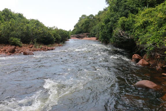 Raging River Water with Big Rocks and Trees Stock Photo - Image of ...