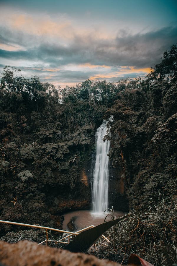 Raging Waterfall Surrounded by Trees Stock Image - Image of nature ...