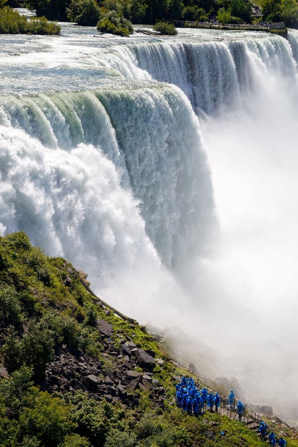 Raging Waterfalls Surrounded by Trees Stock Photo - Image of clear ...