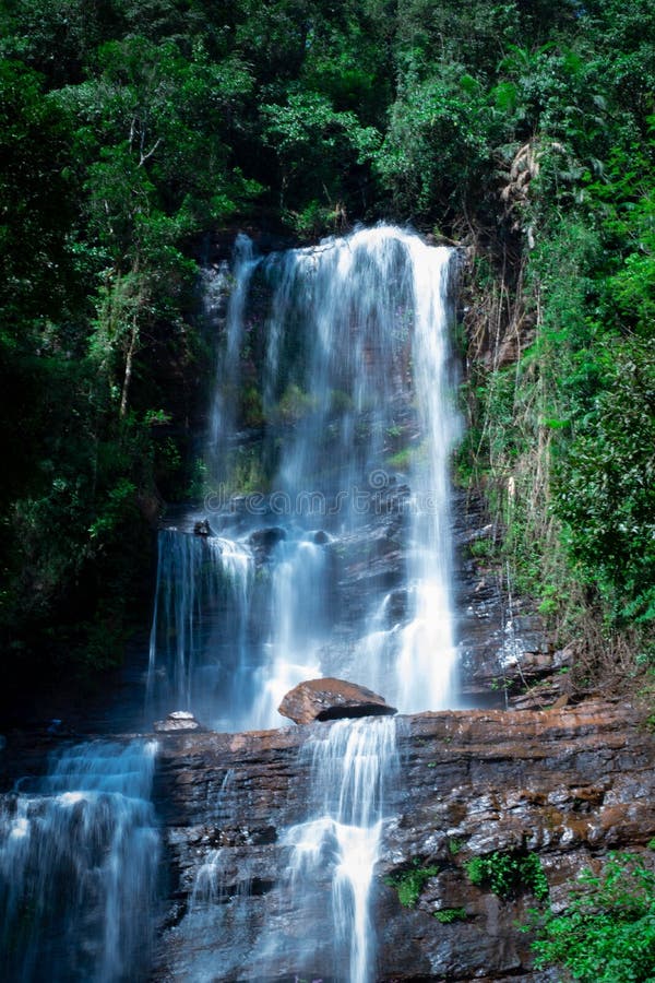 Raging Waterfalls Surrounded by Trees and Rocks Stock Photo - Image of ...