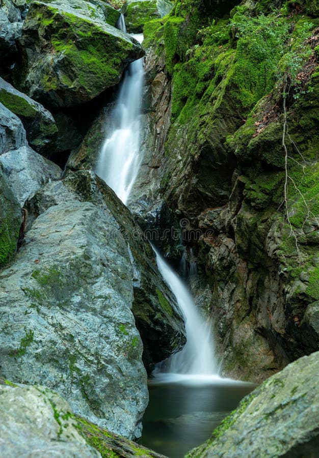 Raging Waterfalls Surrounded by Trees and Rocks Stock Image - Image of ...