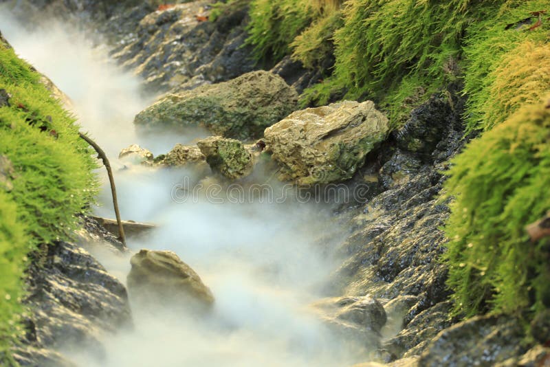 Raging Waterfalls Surrounded by Trees and Rocks Stock Image - Image of ...