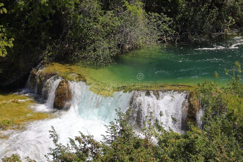 Raging Waterfalls Surrounded by Trees and Rocks Stock Photo - Image of ...