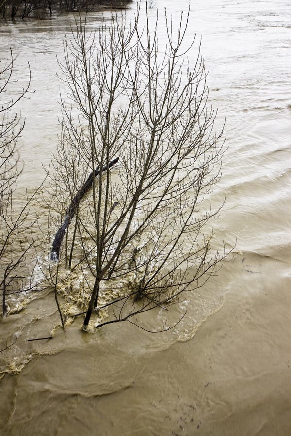Raging waters and murky stock photo. Image of natural - 50822658