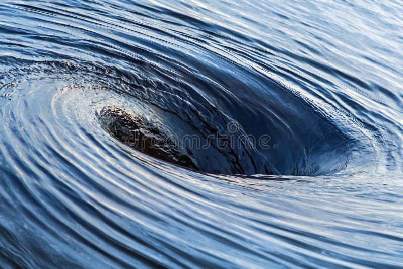 The raging whirlpool. stock image. Image of drain, clean - 238926895