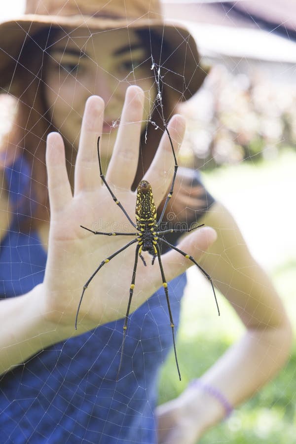 Ragno E La Palma Della Ragazza Immagine Stock - Immagine di cappello ...