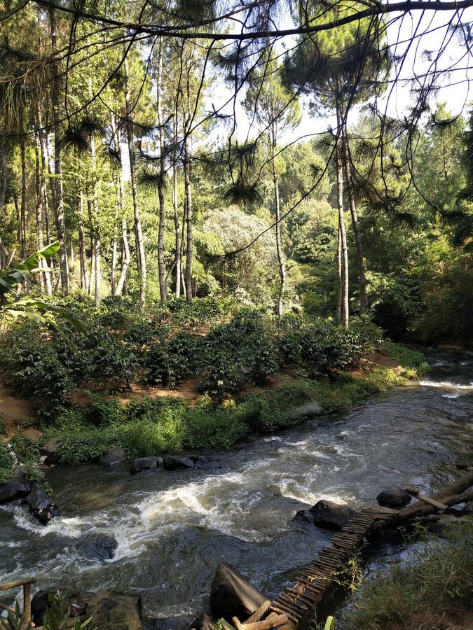 Rahong River Stock Photos - Free & Royalty-Free Stock Photos from ...