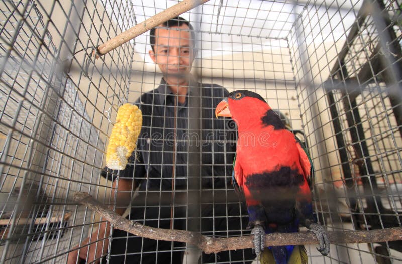 Raid of protected animal editorial photo. Image of protected - 35476486