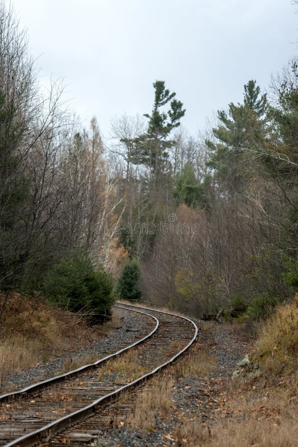 Few Remaining Patches Stock Photos - Free & Royalty-Free Stock Photos ...