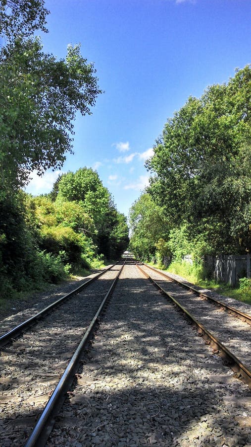 Rail lines stock image. Image of view, trees, tracks - 42644903