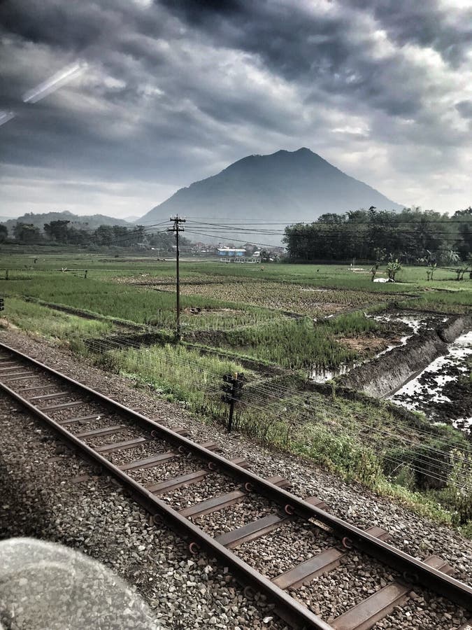 Rail by rice field stock image. Image of rail, field - 265390151