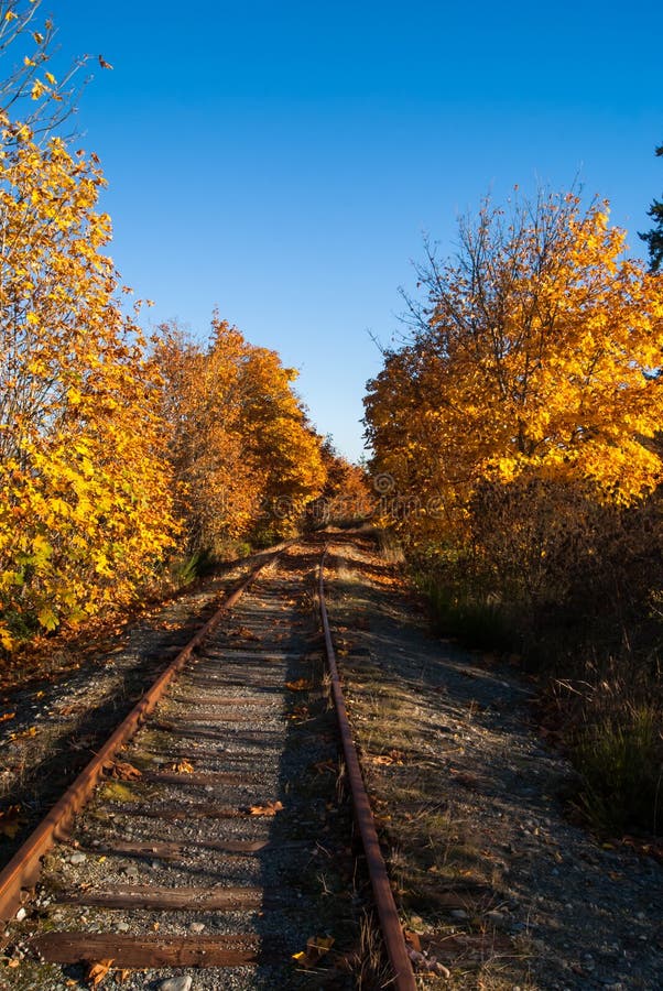 Rail road stock photo. Image of trees, fall, maple, rail - 103149366