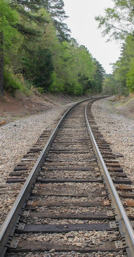 Rail Road Tracks in the Middle of a Forest Stock Image - Image of time ...