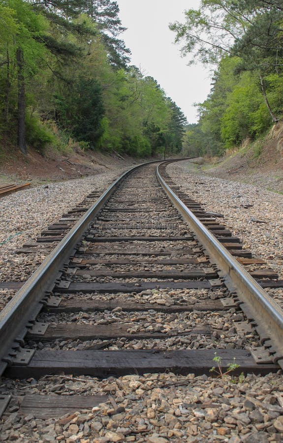 Rail Road Tracks in the Middle of a Forest Stock Image - Image of green ...