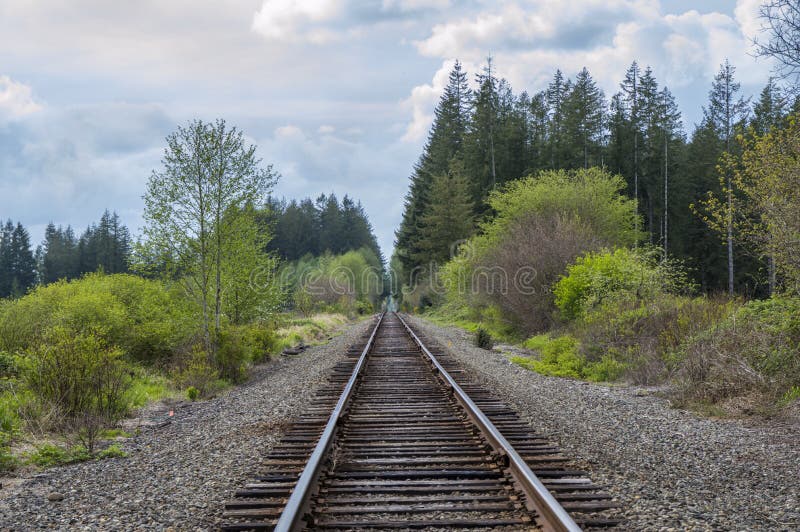 Rail Road Trough the Forest Stock Image - Image of cross, midsection ...