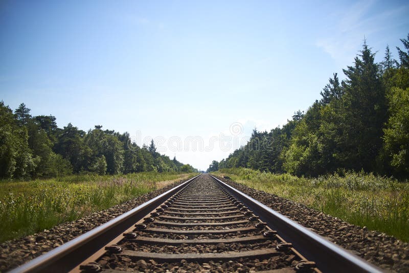 A Rail-rode with Nature Around it Stock Photo - Image of tree ...