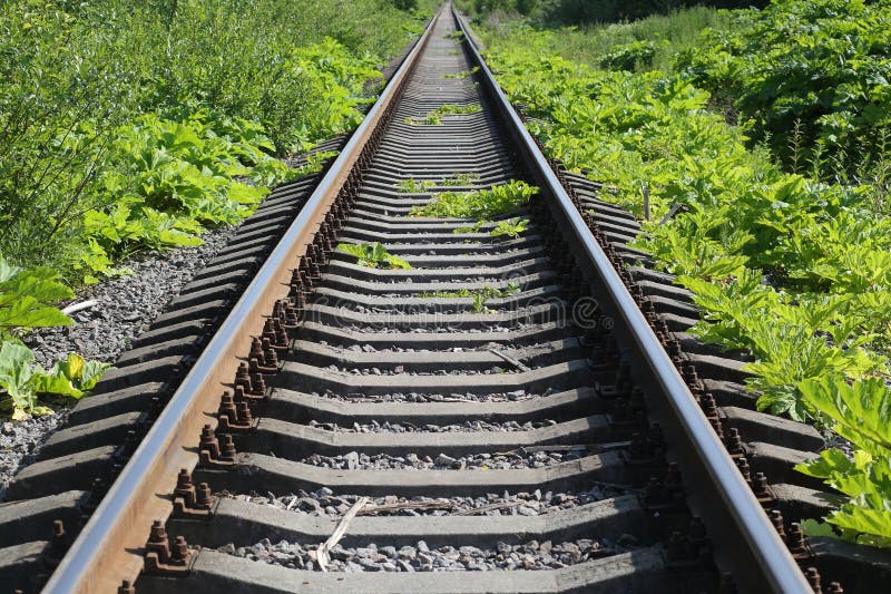 Rail Track with Overgrown Grass Verges Stock Image - Image of railway ...