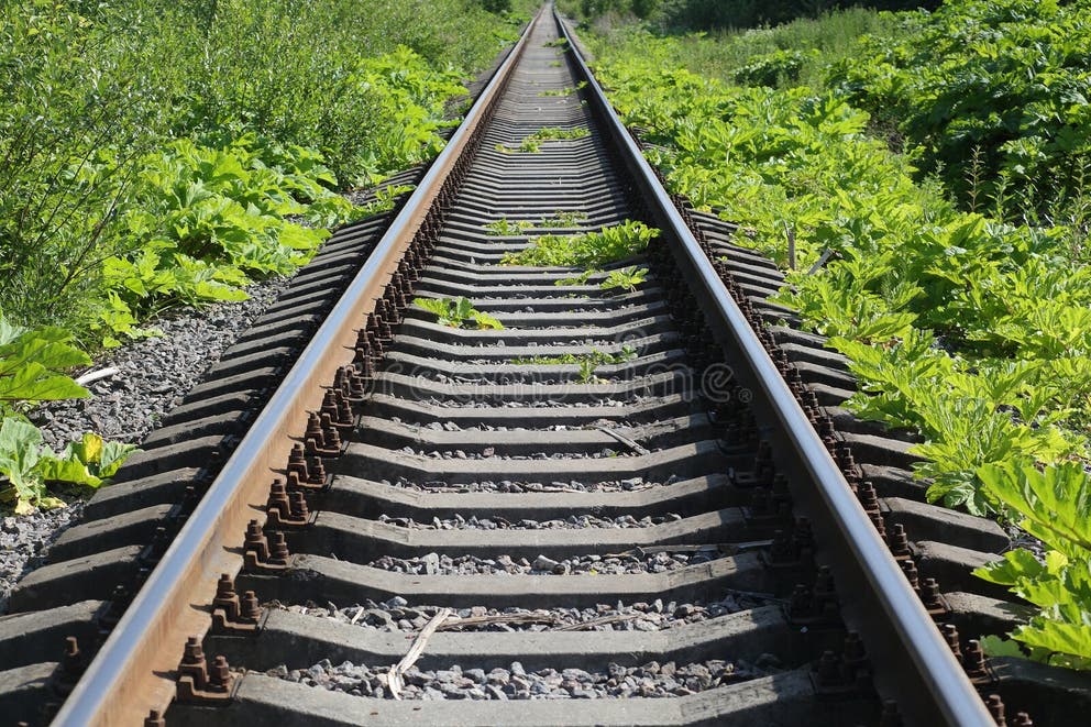 Rail Track with Overgrown Grass Verges Stock Image - Image of railway ...