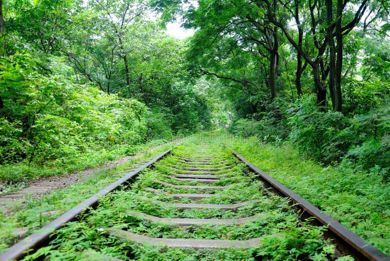 Rail way stock photo. Image of transportation, vanishing - 27794516
