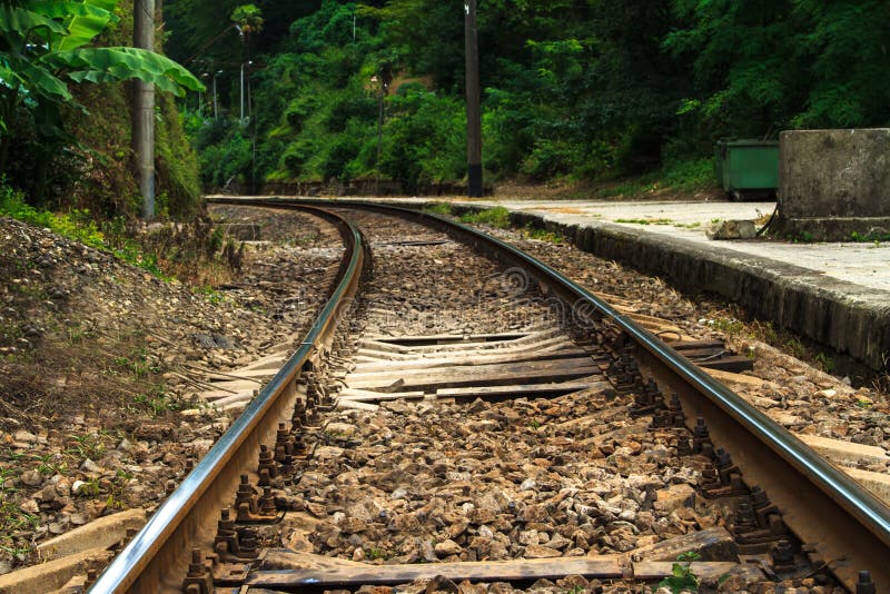 Rail Way stock image. Image of plant, forest, empty, foliage - 33042025