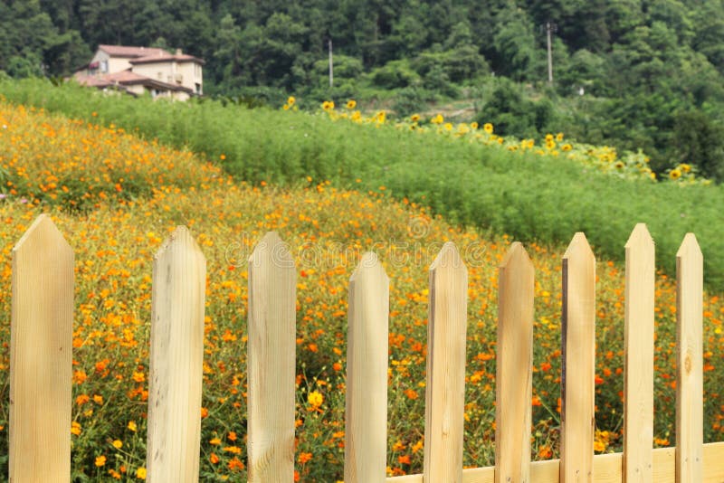 Railing stock image. Image of forest, garden, vegetation - 53175697