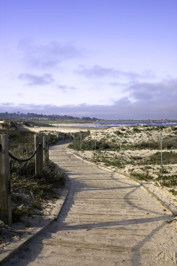 Boardwalk over sand dunes stock photo. Image of ocean - 9157804