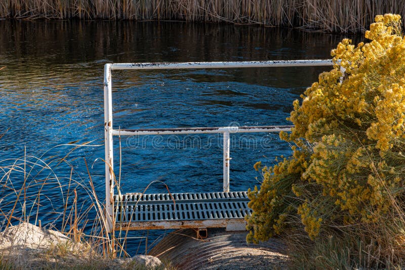 Railing and Pond stock image. Image of inlet, reservoir - 229353741