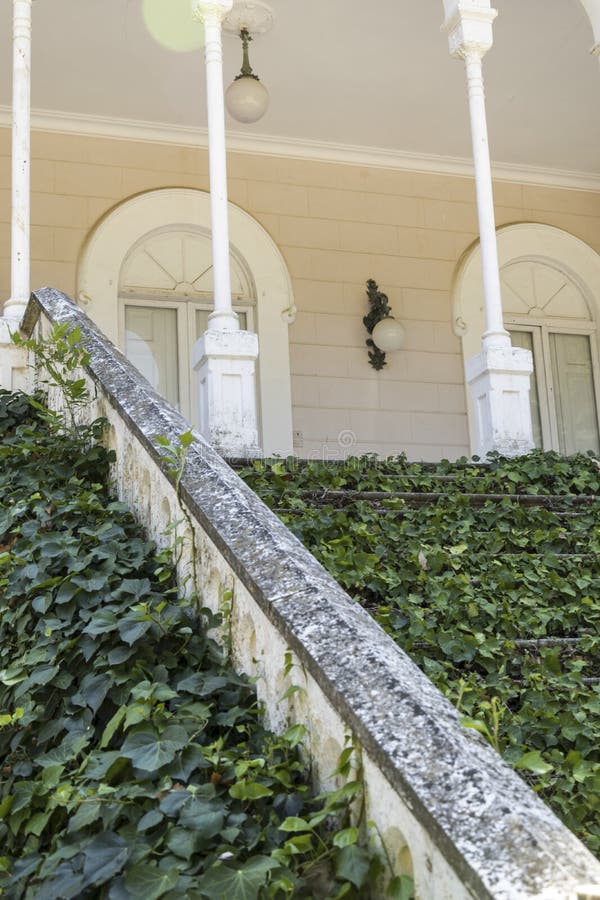 Cement Railing between the Ivy. Stock Photo - Image of green ...