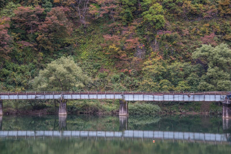 Railroad bridge in autumn stock photo. Image of water - 108310320