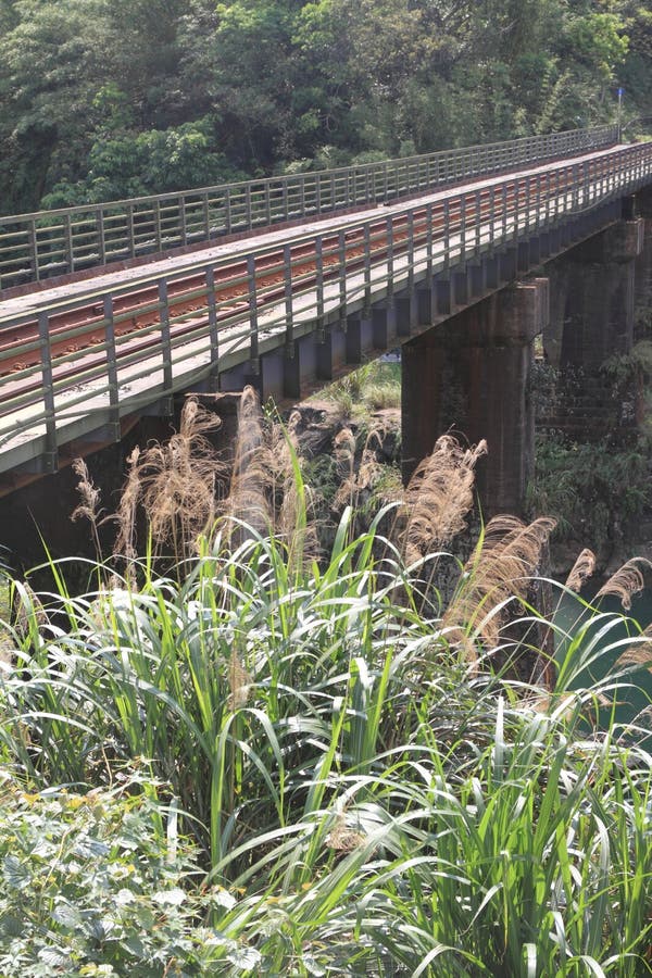 Railroad Bridge on Pingxi Line in Shifen, Taiwan, ROC Stock Image ...