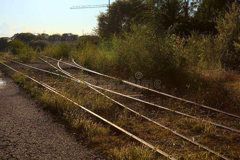 Railroad Covered by Tall Grass at Sunset Stock Photo - Image of autumn ...