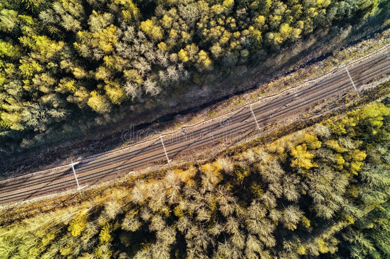 Railroad into Dark Deep Forest Aerial Stock Image - Image of foliage ...