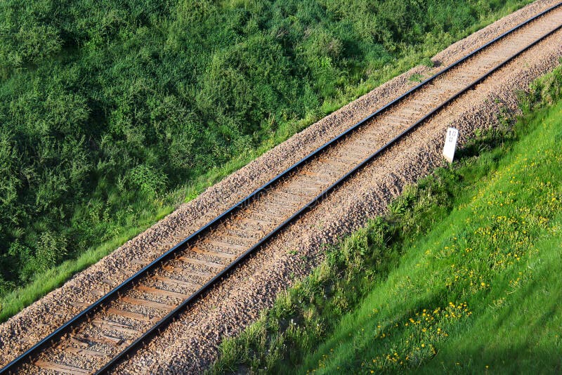 Embankment with Grass and Dandelions and Blue Wildflowers Stock Image ...
