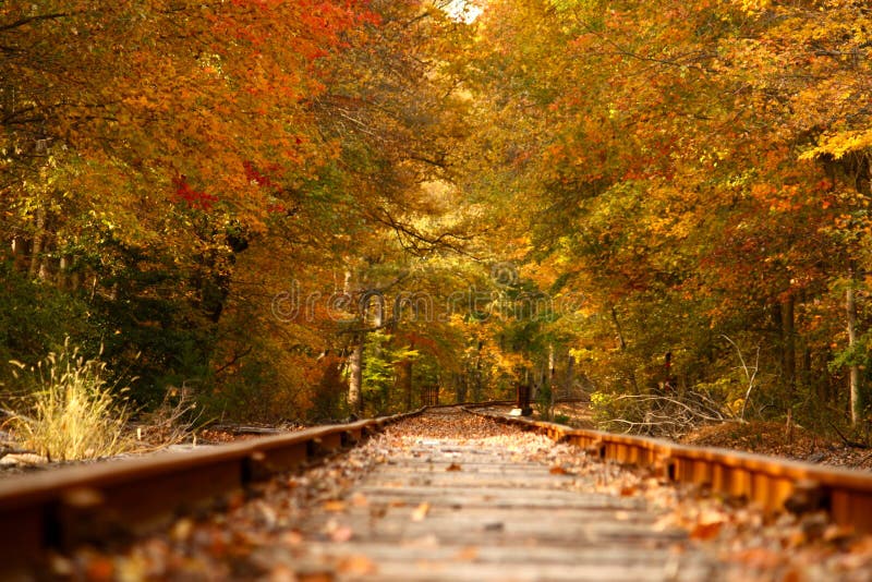 Railroad stock image. Image of colorful, fall, landscape - 43950527
