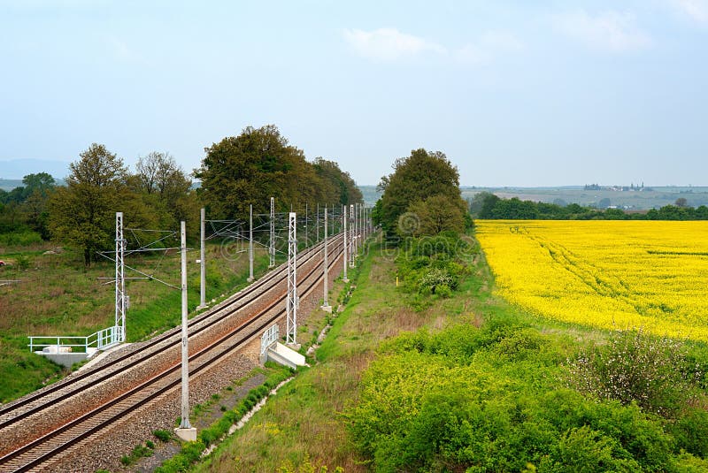 Railroad and fields stock photo. Image of yellow, rail - 9099986